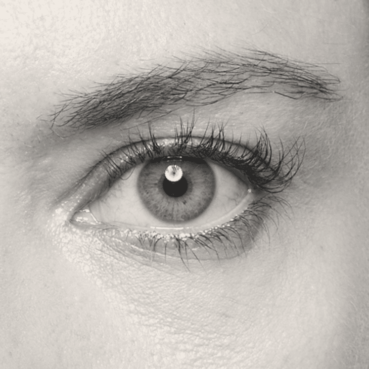 5 Facts About Eyelashes You Need To Know | Rediscovering You...